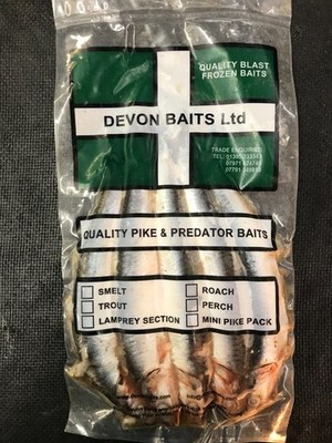 Devon Baits MINI HERRING Pike Predator Deadbait Fishing 5 PER PACK ...