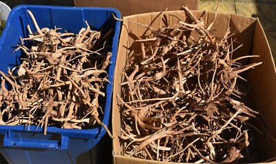 CHEAP AQUARIUM WOOD PIECES 20cm+ Red moor root fish tank bogwood moss ...