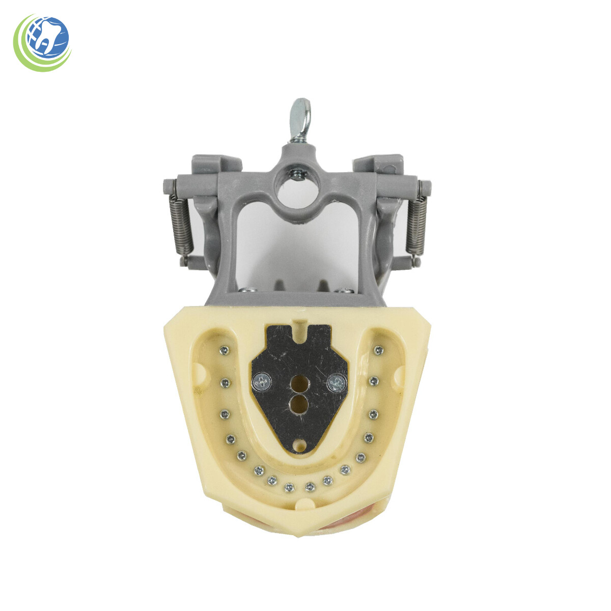 Dental Typodont Model 860R Prep Teeth NBDE NERB ADEX G V Black ...