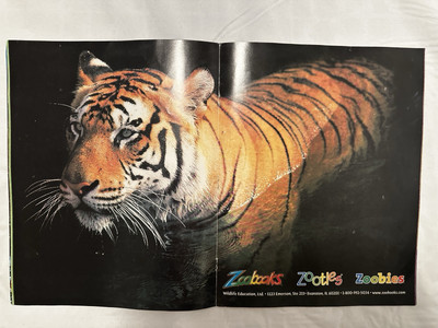 Tiger Poster - RARE Zoobooks/Zootles | eBay