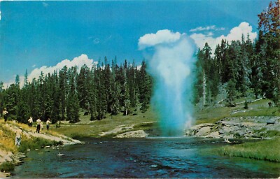 Yellowstone National Park Wyoming WY Riverside Geyser Postcard | eBay