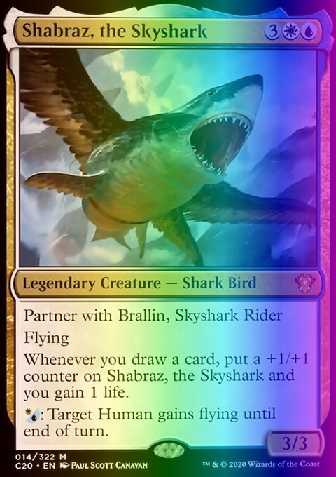 MTG Magic the Gathering Shabraz, the Skyshark (14/355) Commander 2020 ...