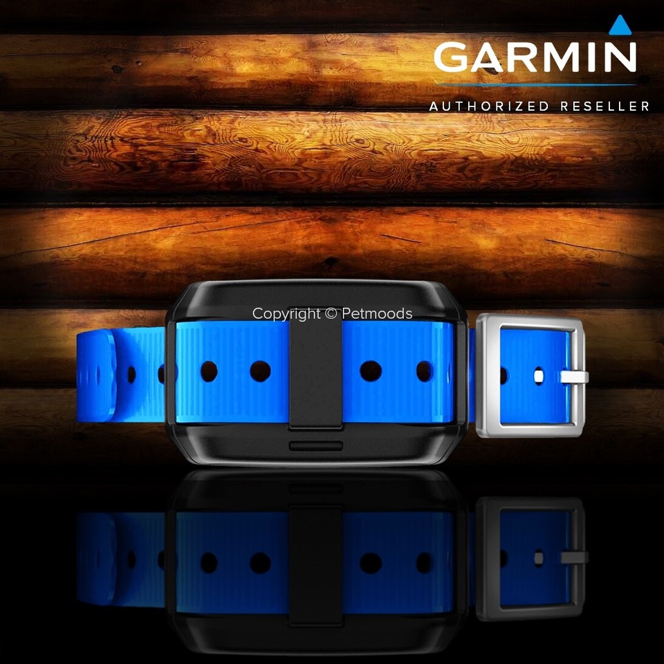 Garmin Delta SE 2-Dog Collars Remote Training System | eBay