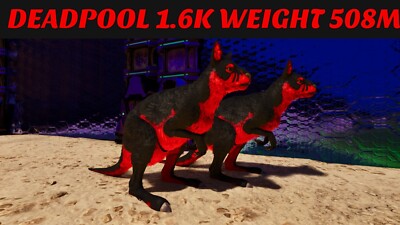 🔥ARK Survival Ascended PvE PC/XBOX/PS5 Top Sats Procoptodon (kangaroo ...