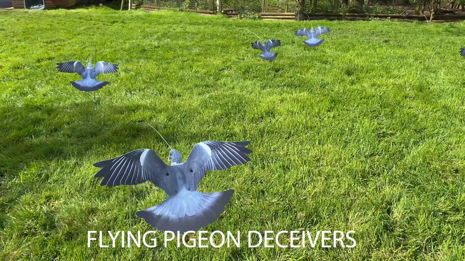 Flying Pigeon Deceiver Decoy Floater Realistic Pattern NOW IN MATT ...
