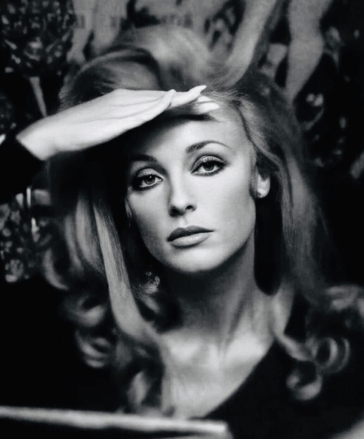 BEAUTIFUL Sharon Tate 8×10 Glossy Photo - La Paz County Sheriff's ...