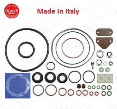 Stanadyne Roosa Master Diesel Injection Pump Seal Repair Kit 24373 ...