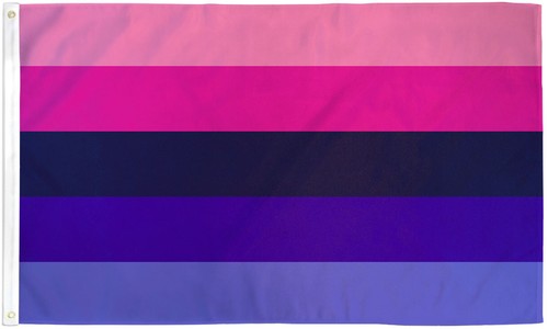 Omnisexual Flag 3x5ft 75D Ultrabreeze LGBTQIA Omni Pride Flag LGBT ...