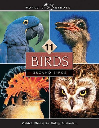Birds : Set of 6 by Bev Harvey (2003, Hardcover) for sale online | eBay
