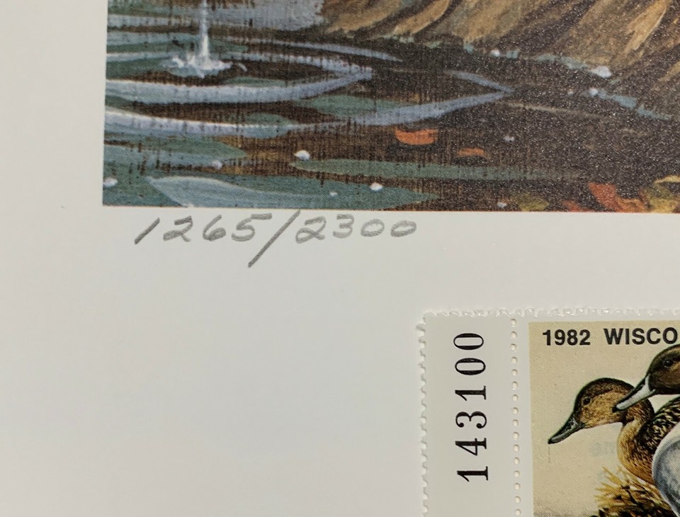 1982 WISCONSIN - State Duck Stamp Print **WILLIAM KOELPIN** with Stamp ...
