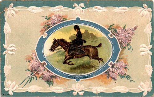 Steeplechase, Master Robley Carr, Irene, Emden, Missouri Postcard | eBay