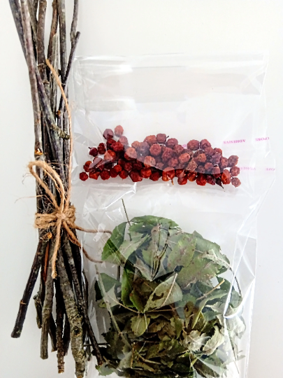 Rowan tree kit Mountain ash leaf tree protection pagan wicca witchcraft ...