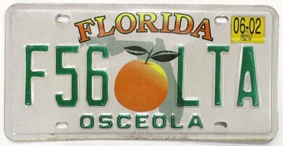 Florida 2002 Giant Orange License Plate F56 LTA Osceola County | eBay