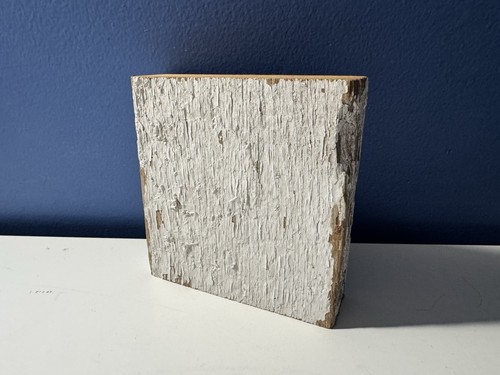 Six Flags New England 1983 Cyclone Wood Block Wooden Coaster Retired ...