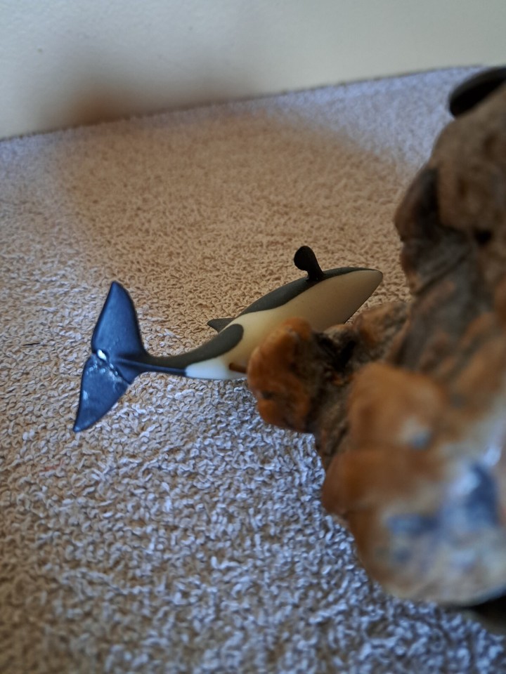 John Perry Orca Whale & Pelican Set Of 2 Sculpture Burl Wood Art Marine ...