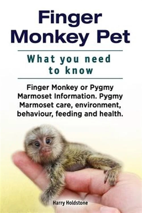 Finger Monkey Pet