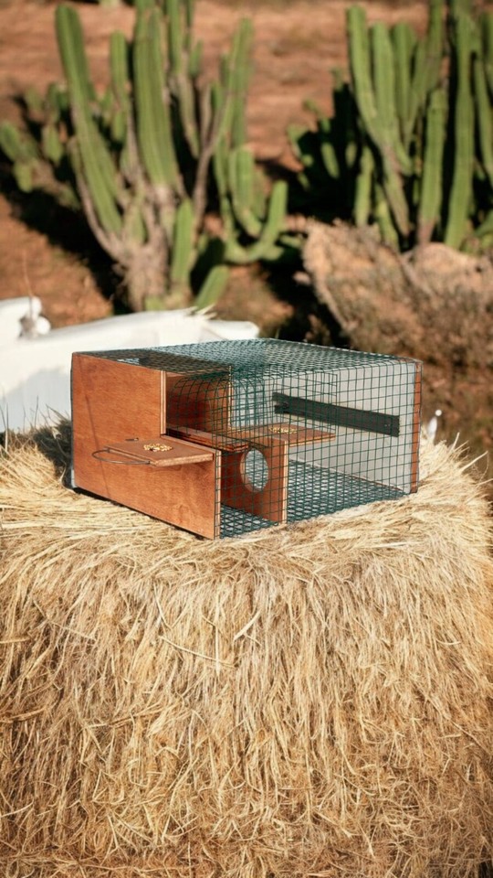 Elevator Type Non Stop Condition Sparrow TRAP Automatic Live Catch ...