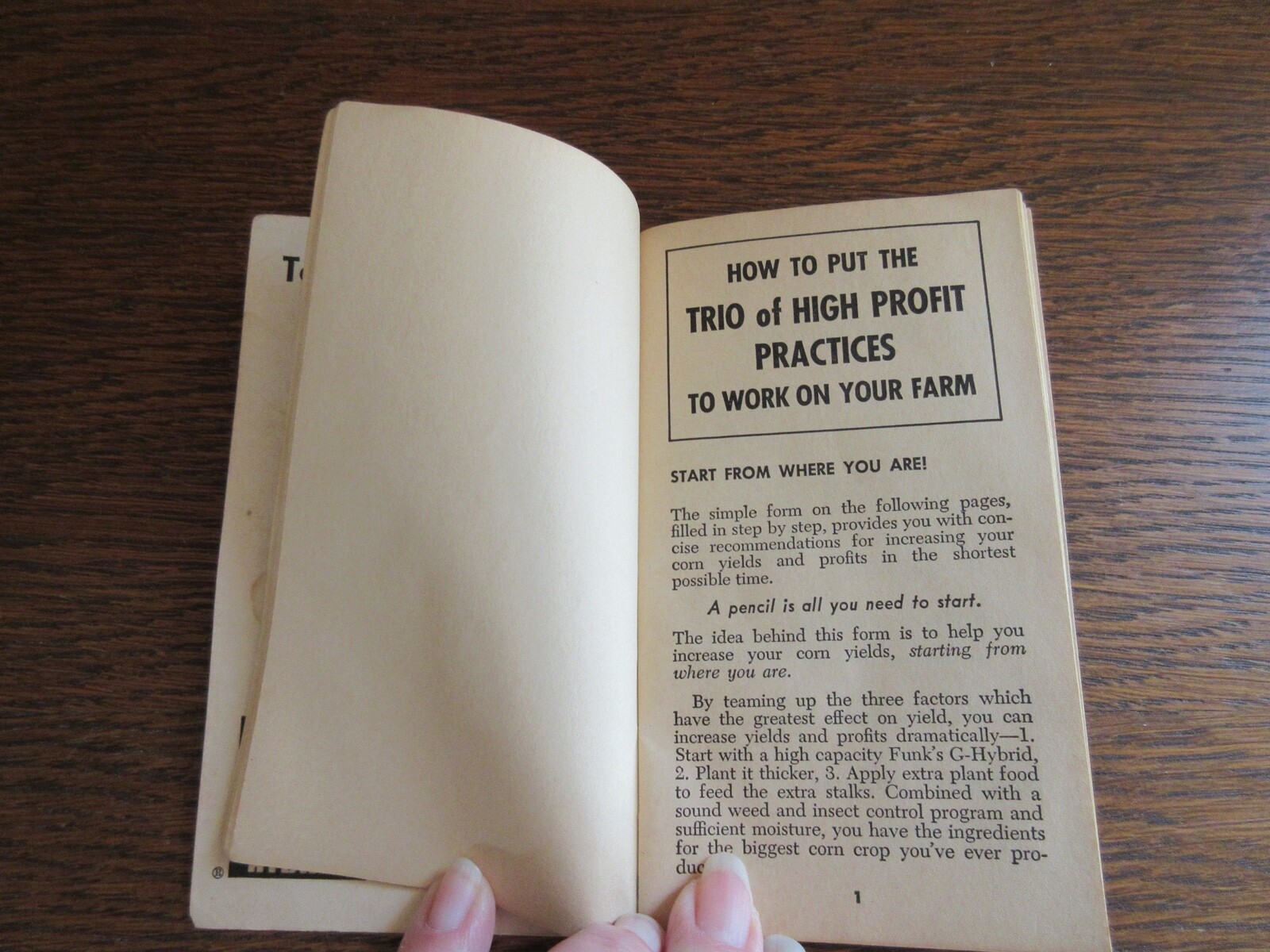 Lot of 3 Mid 1960s Seed Corn Pocket Notebooks Lester Pfister & Funk's ...