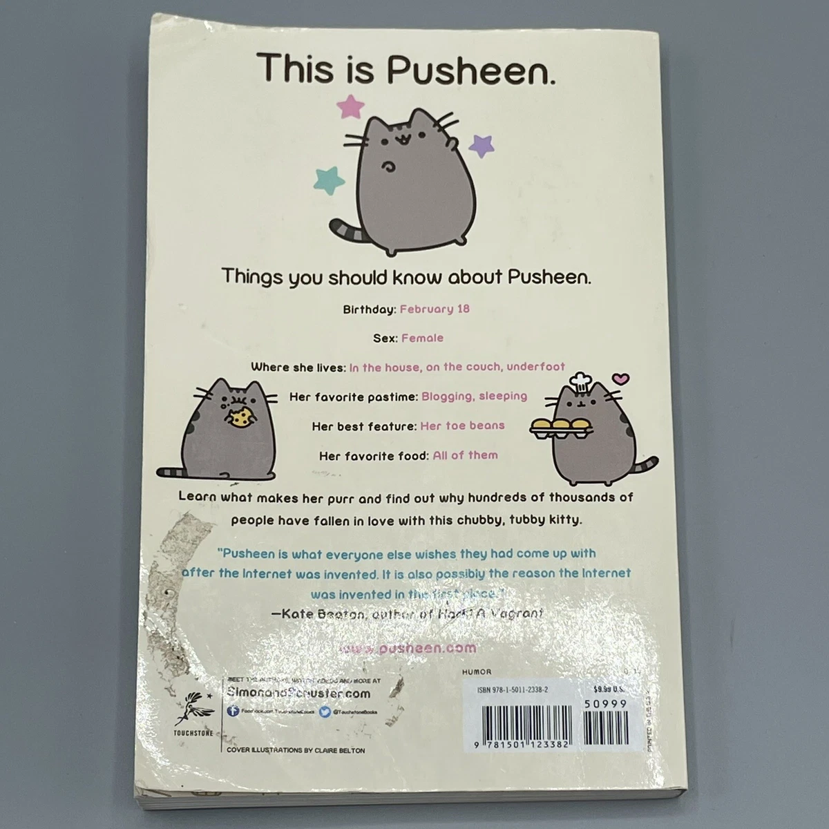 Pusheen Birthday Card