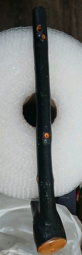 Vintage Irish shillelagh hanging club cudgel stick blackthorn wood ...