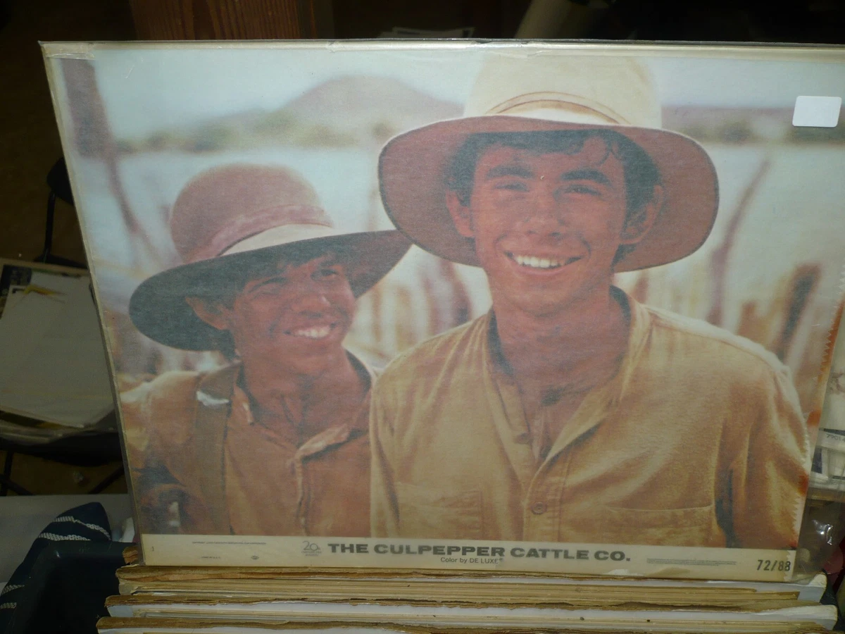 Bo Hopkins Culpepper