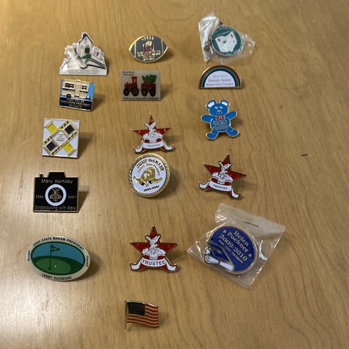 Lot of 16 pcs Collectors Pins Various | eBay