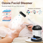 Hair Steamer 2 in 1 Ozone Facial Steamer, Design for Personal Care Use ...