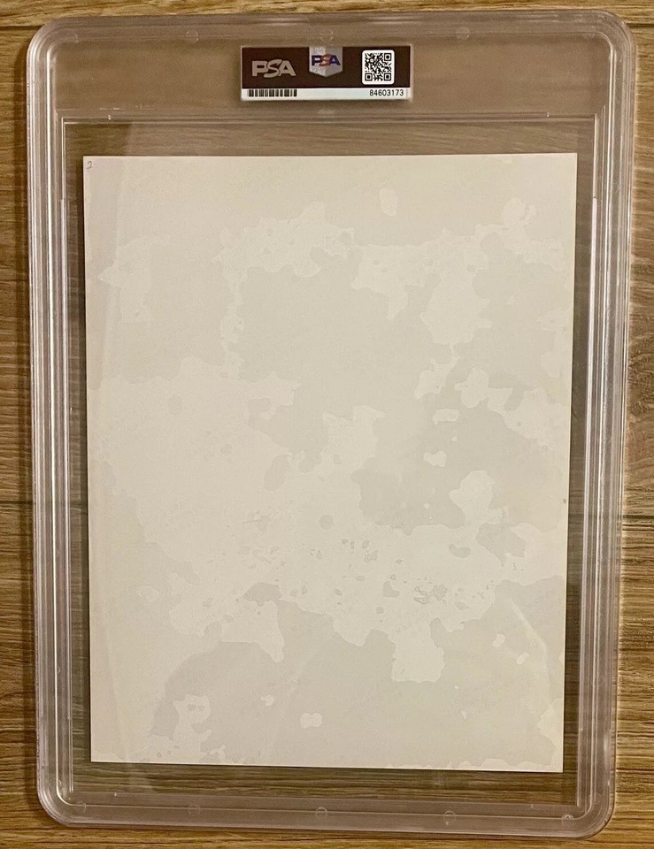 1979 MUHAMMAD ALI VS LYLE ALZADO BOXING MATCH TYPE 1 PHOTO 8x10 VINTAGE ...