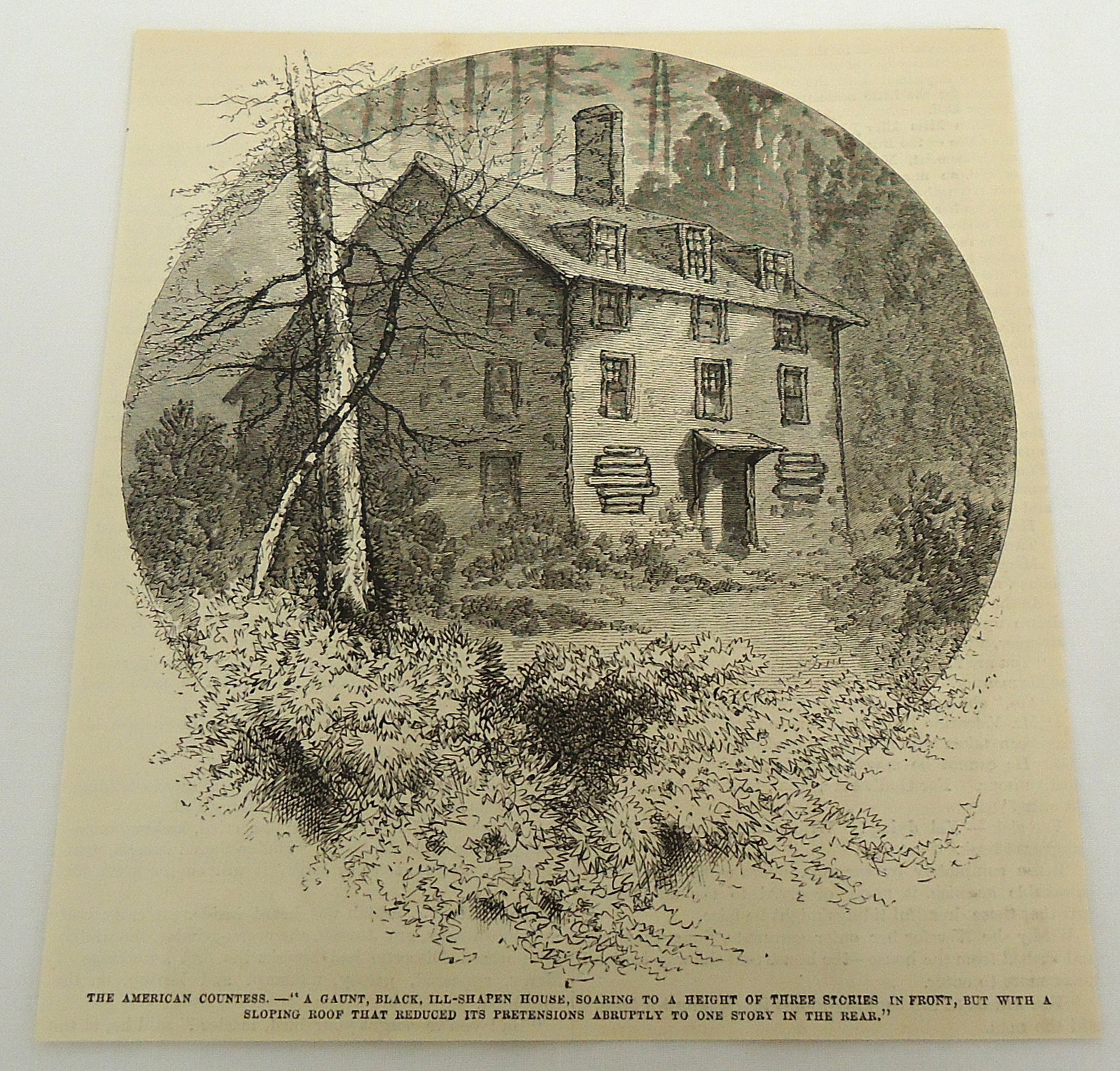 1878 magazine engraving ~ THE AMERICAN COUNTESS ~ haunted house | eBay