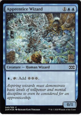 Apprentice Wizard *FOIL Common* Magic MtG x1 Double Masters | eBay