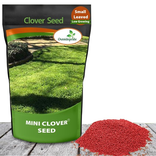 White Mini Clover Seed - 1/4 lb - Drought Tolerant Ground Cover Seed | eBay