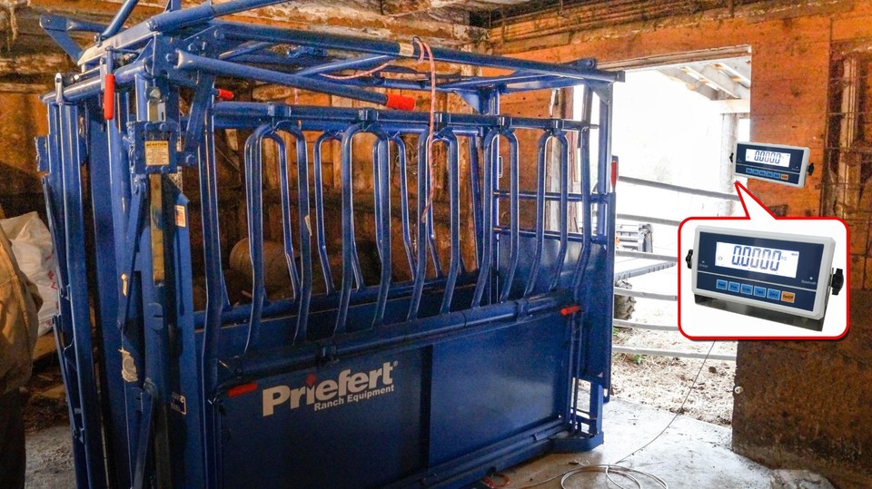 Livestock Scale Kit Cattle Chute/bluetoothAPP/android Priefert,Tarter ...