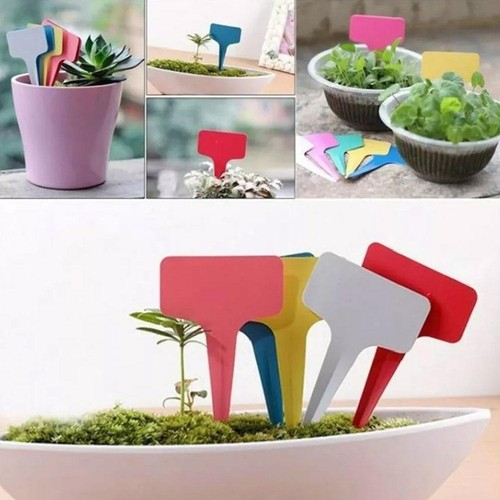50x T-Type PLANT GARDEN PATIO MARKERS LABELS SEEDS NAME PLANTS TAGS ...