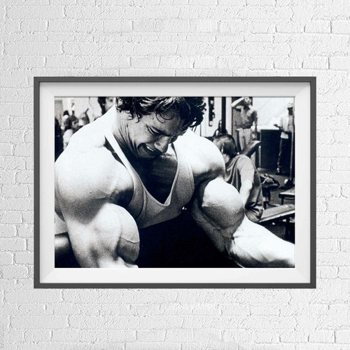ARNIE ARNOLD SCHWARZENEGGER MUSCLE POSTER PICTURE PRINT Sizes A5 to A0 ...