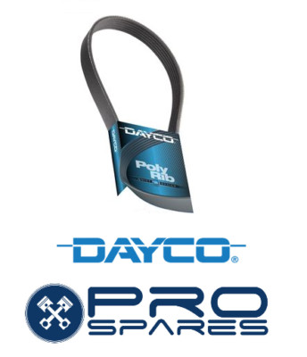 Dayco 7PK1870 V-Ribbed Belts | eBay Australia