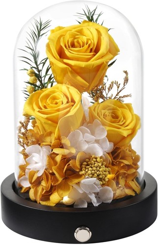 Preserved Roses Flowers in Glass Dome, Long-Lasting Real Yellow Forever ...