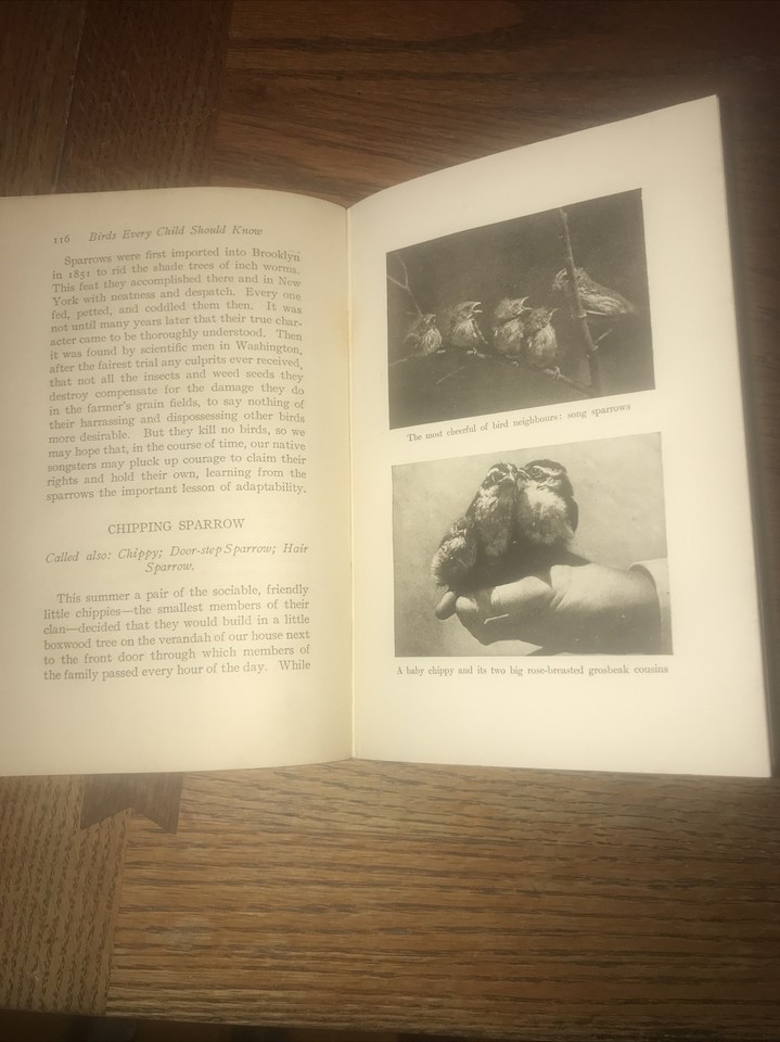 Book, Birds that every Child should Know, Neltje Blanchan hard copy ...