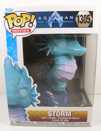 Funko Pop DC #1305 Storm Collectible Vinyl Figure Aquaman and the Lost ...