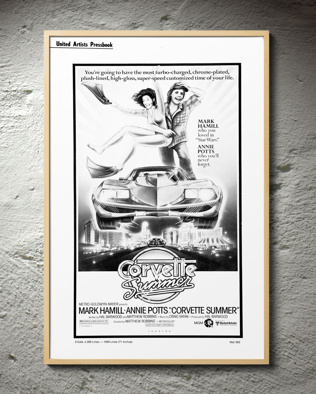 Corvette Summer Poster