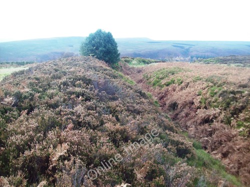 Photo 12x8 Bar Dyke Earthwork Wigtwizzle Marked 'Bar Dike' on th c2011 ...