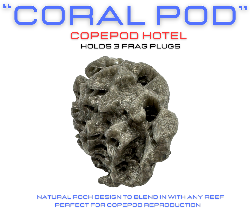 CORAL POD™ v2 - AlgaeDepot Copepod Hotel - Copepod Breeder Pod - FAST ...