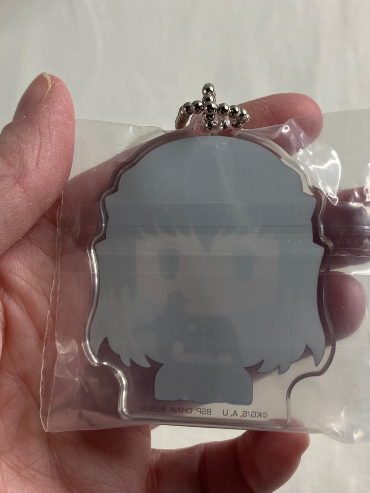 Anime Demon Slayer Kimetsu no Yaiba Mist Hashira Muichiro Tokito Acritz ...