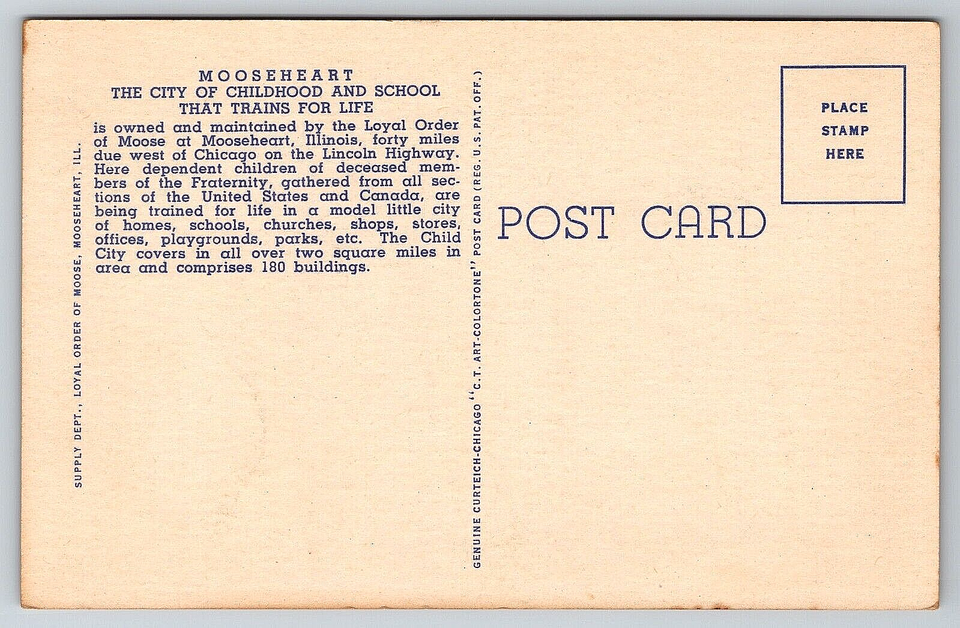 VINTAGE OLD ANTIQUE POSTCARD LOYAL ORDER OF MOOSE WOMANS BUILDING ...
