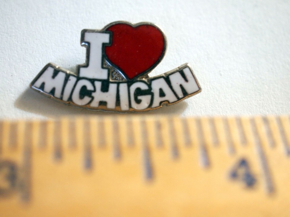 I Love Michigan Pin , Sayings Lapel Pin | eBay