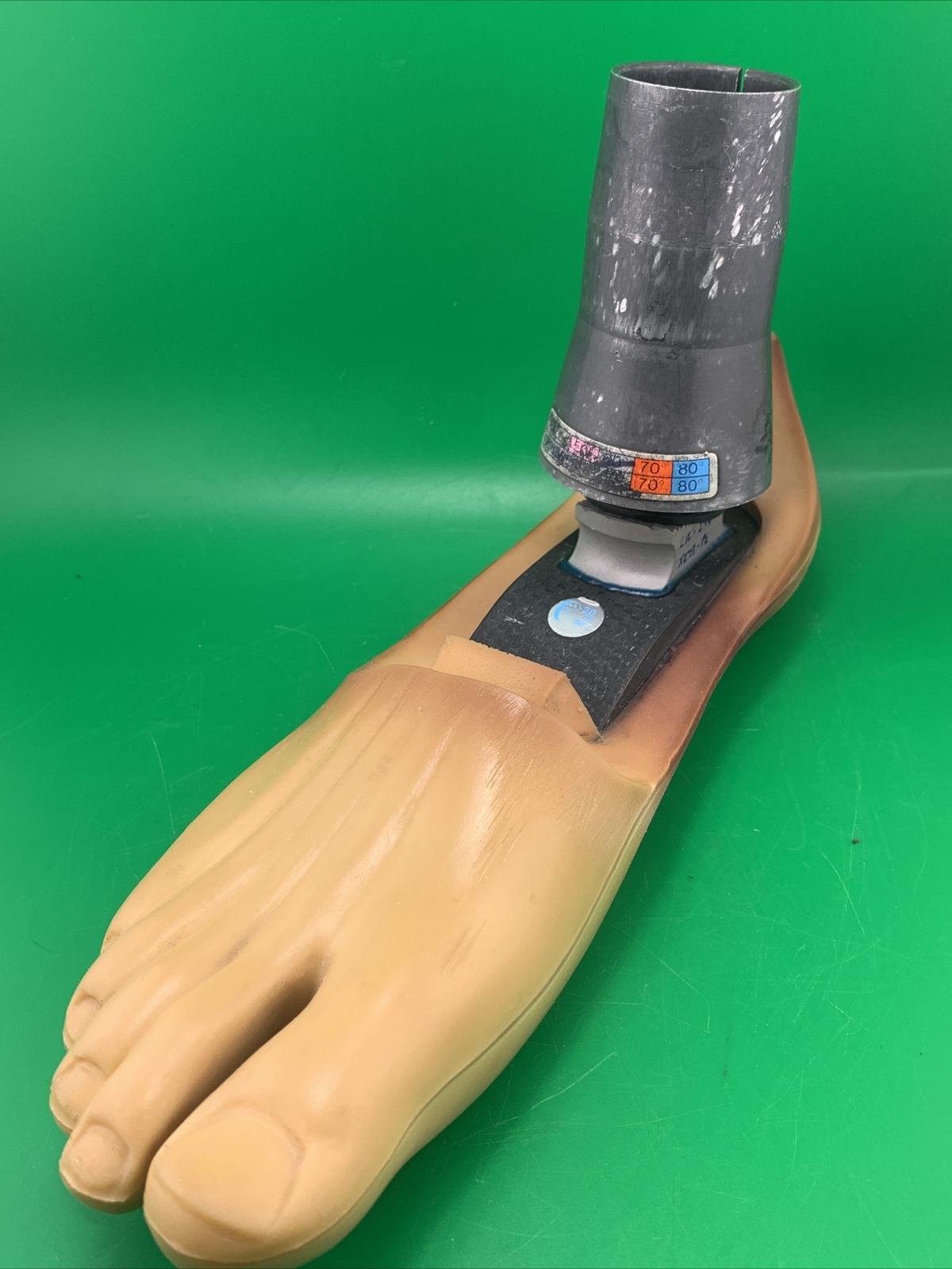 endolite blatchford multiflex prosthetic foot and Ankle. Right Foot ...