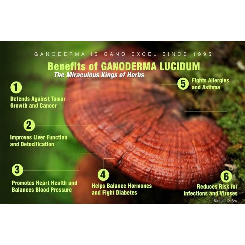 Gano Excel Ganoderma Lucidum 90 Capsules Reishi Lingzhi FREE SHIPPING ...