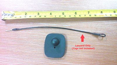 100 pcs EAS Anti Theft Loss Prevention Retail Store Security Lanyard ...