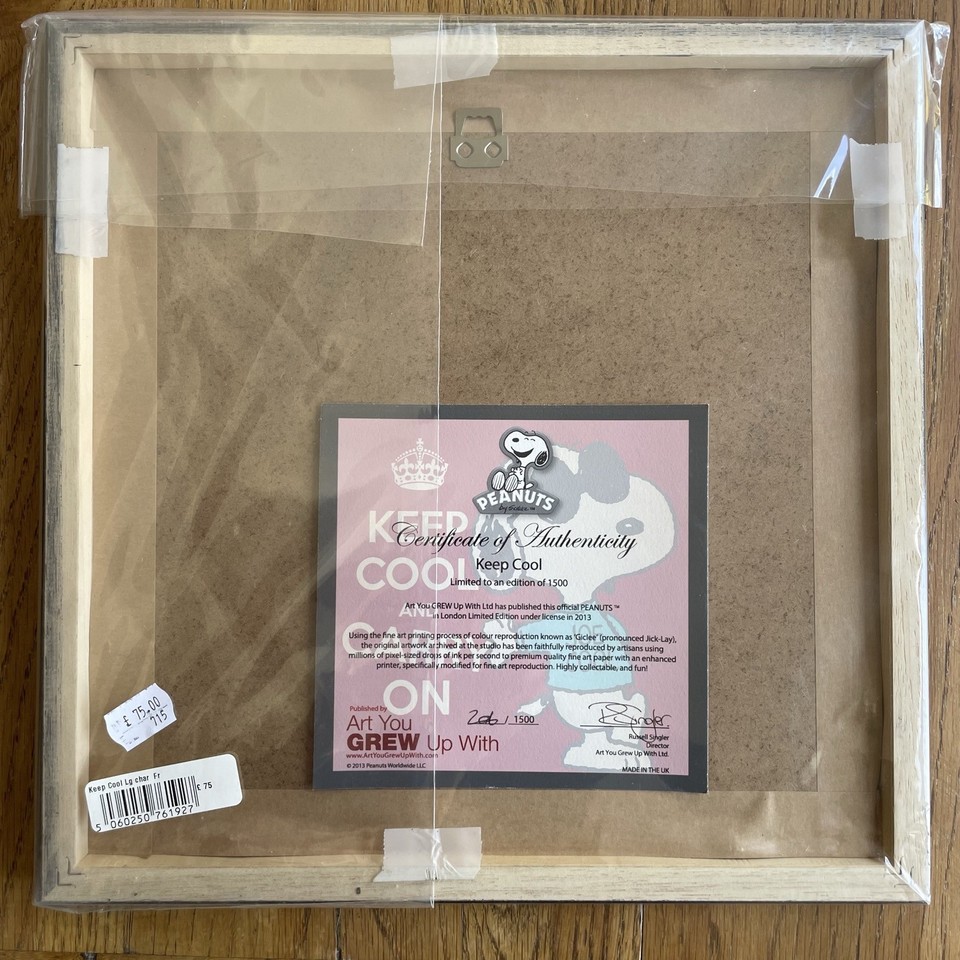 Snoopy 'Keep Cool' Ltd Ed Fine Art Print Mounted Framed • Official ...