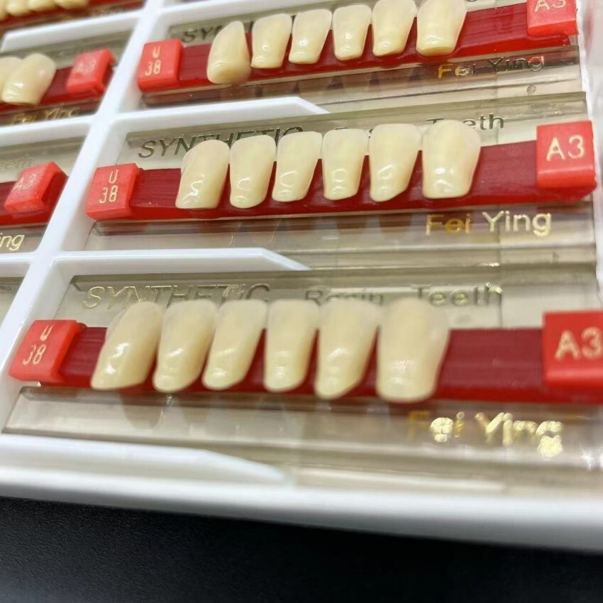 Dental Acrylic Resin Polymer Teeth Denture 2-lay Anterior And Posterior ...