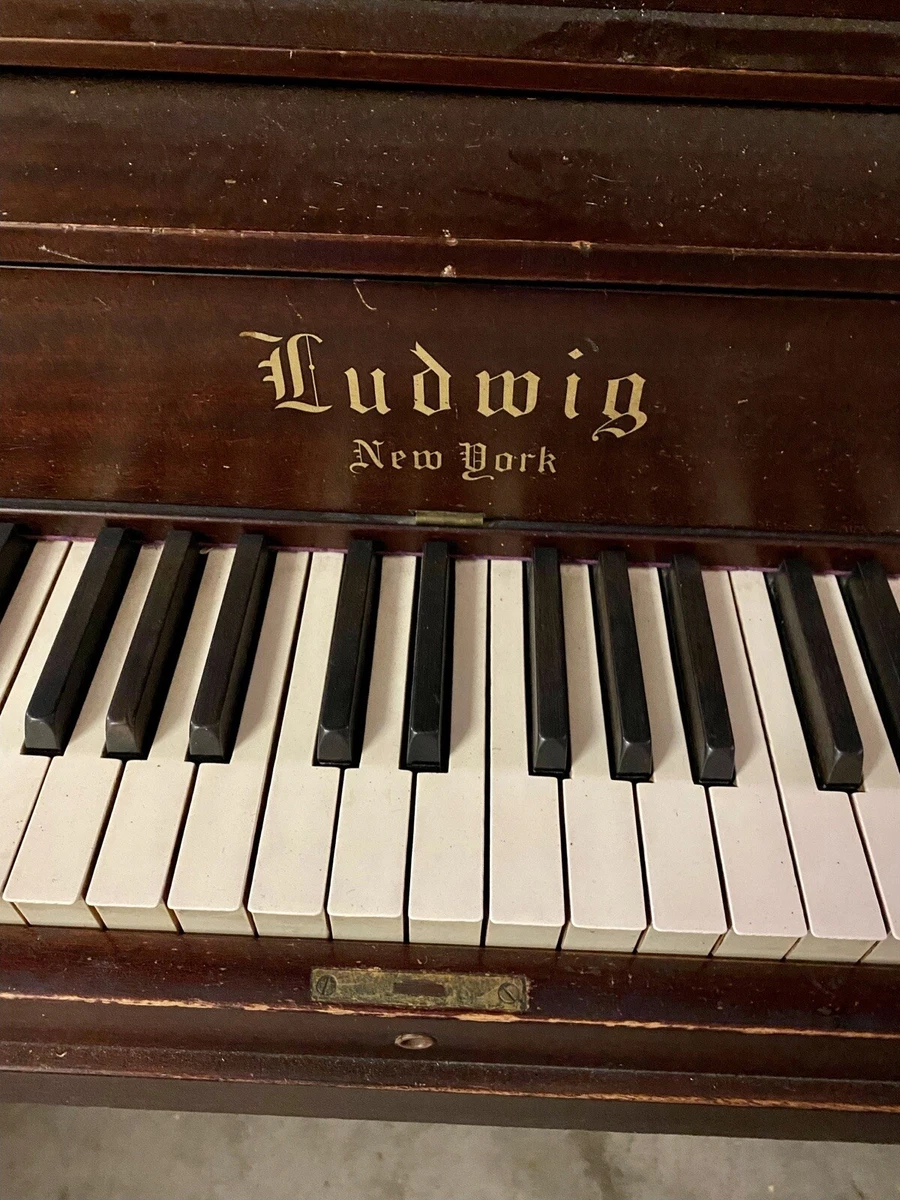 Makeup Instrument Serial Number | Saubhaya Makeup